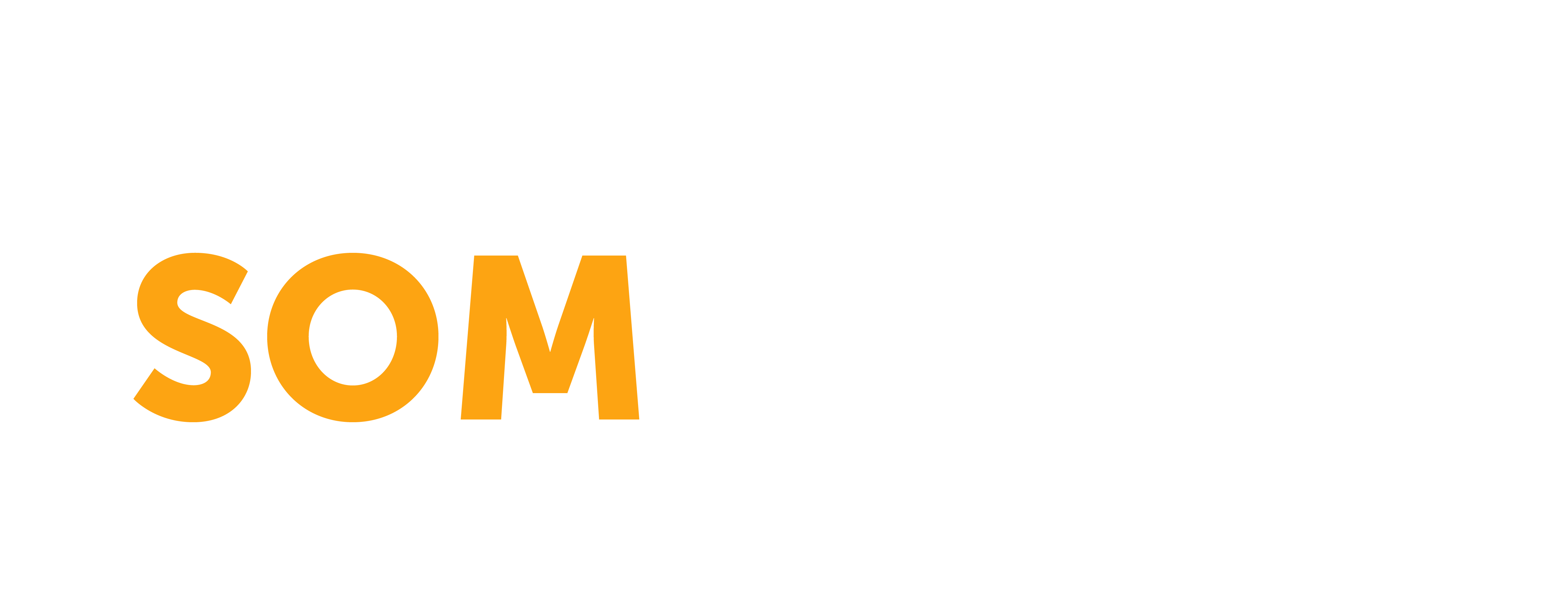 Somlink | Mobiliteit Gemakkelijk Gemaakt